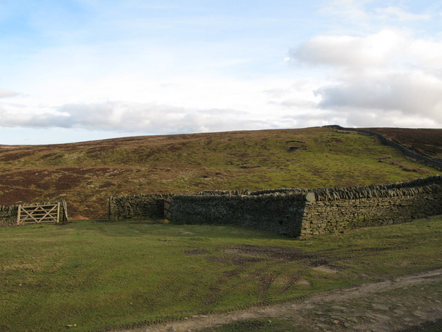 Photo 6x4 Sheepfold above Whitelees (2) Boltshope Park c2008 | eBay UK