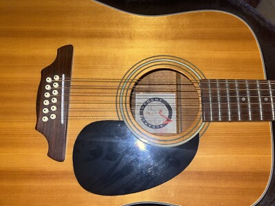VINTAGE ALVAREZ 12 STRING ACOUSTIC GUITAR WITH CASE | eBay