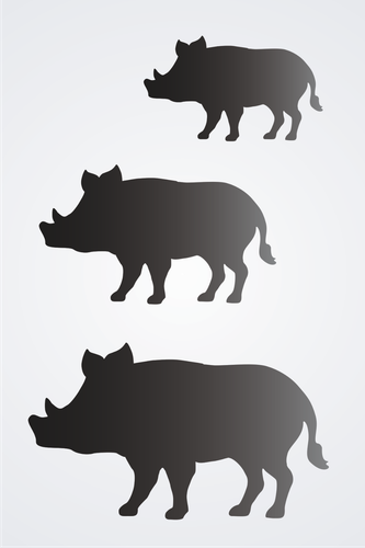 Stencils by Joanie Warthog Wild Boar Pig Animal Shape + Free Template ...