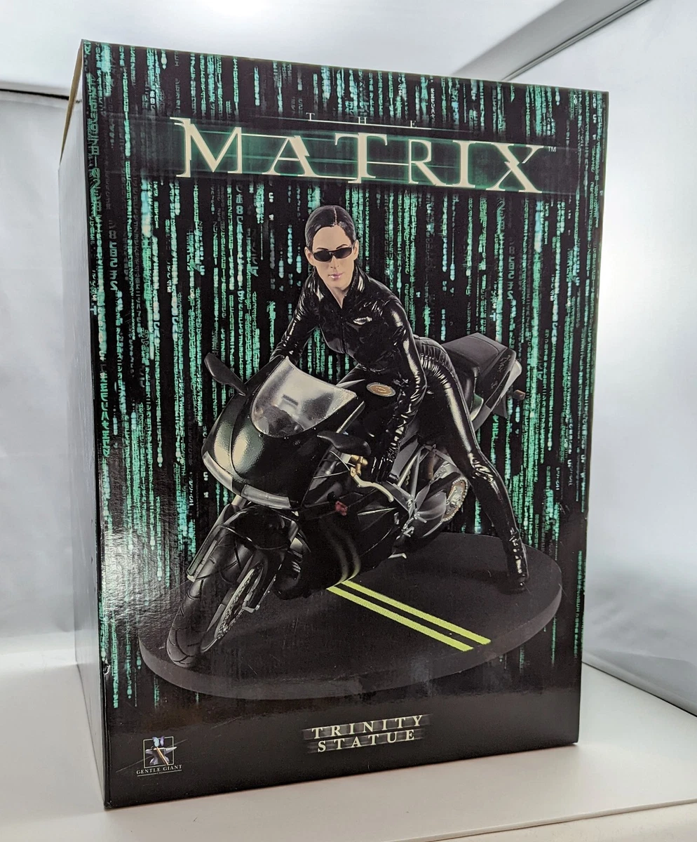 Trinity Matrix Bike