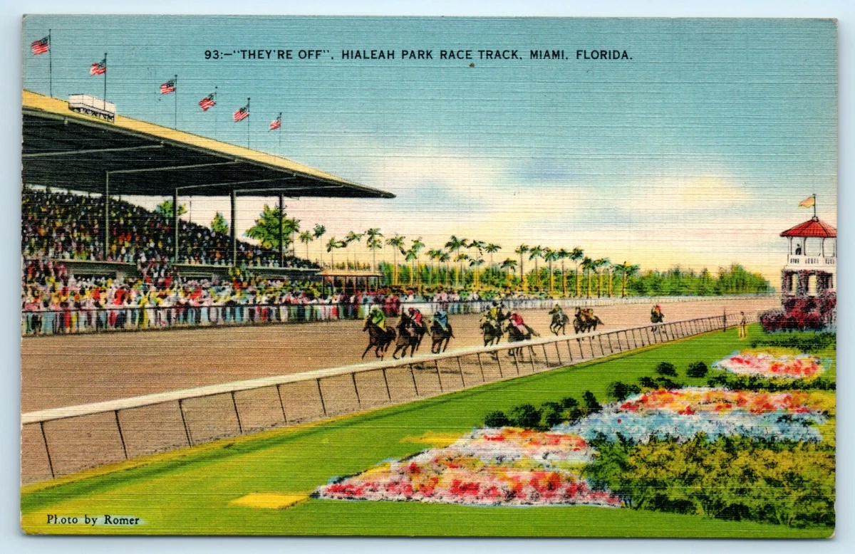 Horse Race Tracks Miami Florida