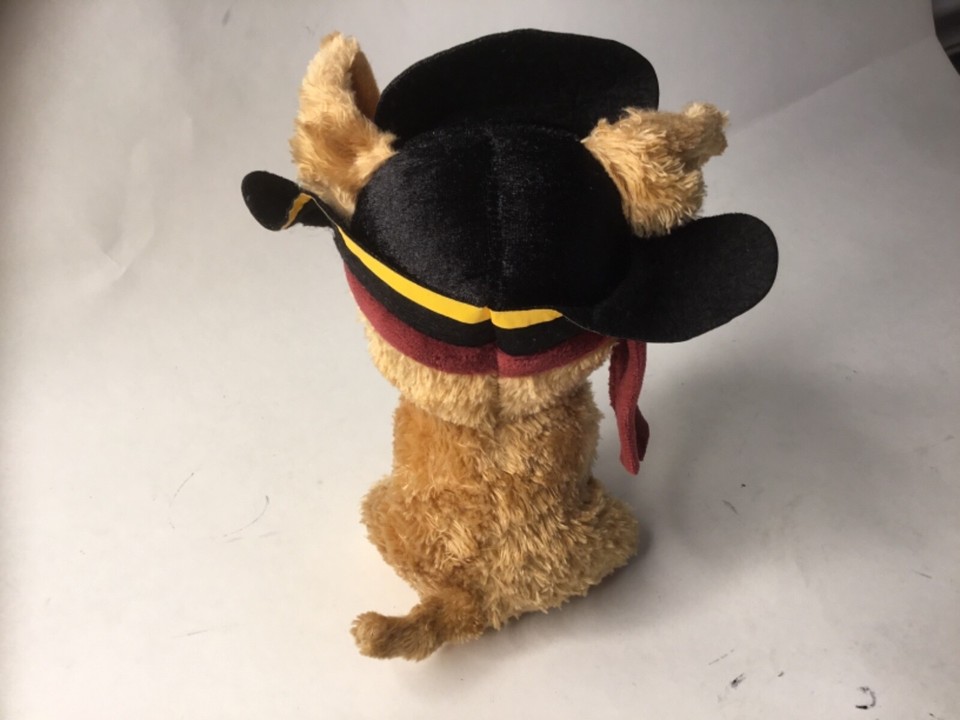 TY Beanie Boos - ROWAN the Pirate Puppy Dog (Glitter Eyes) (6 inch) | eBay