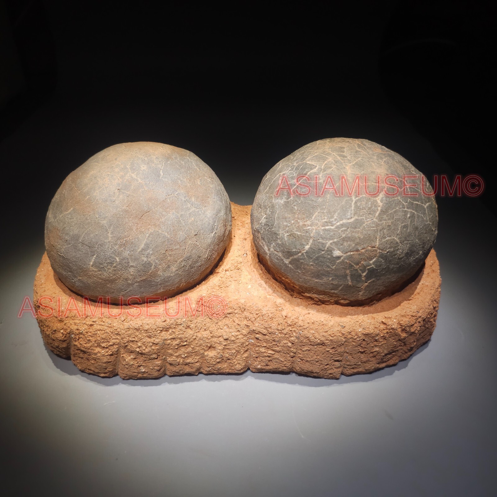 PAIRE Dinosaure Oeuf Hadrosaur Nid Dendrolithus Fossile Jurassique ...