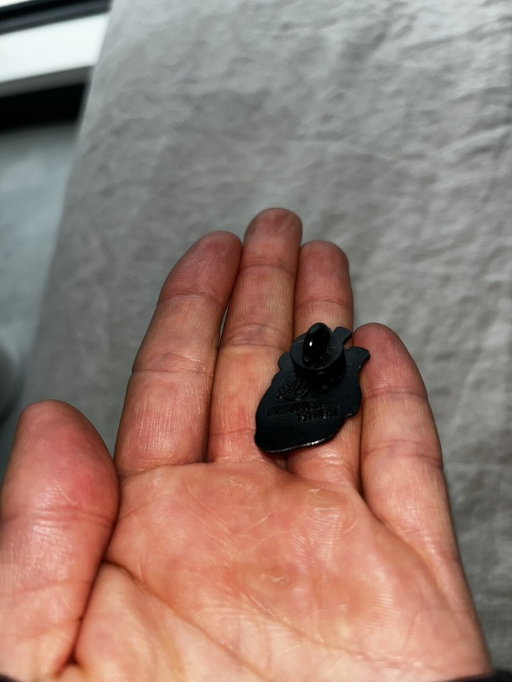 Anatomical Heart Pin With Chicago Flag | eBay