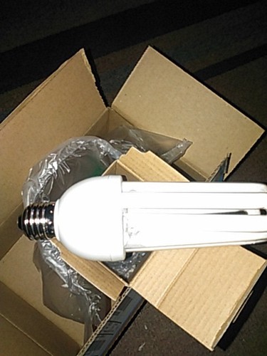 7054 Replacement Light Bulb for Brinks Model 7253 42w CFL for sale ...