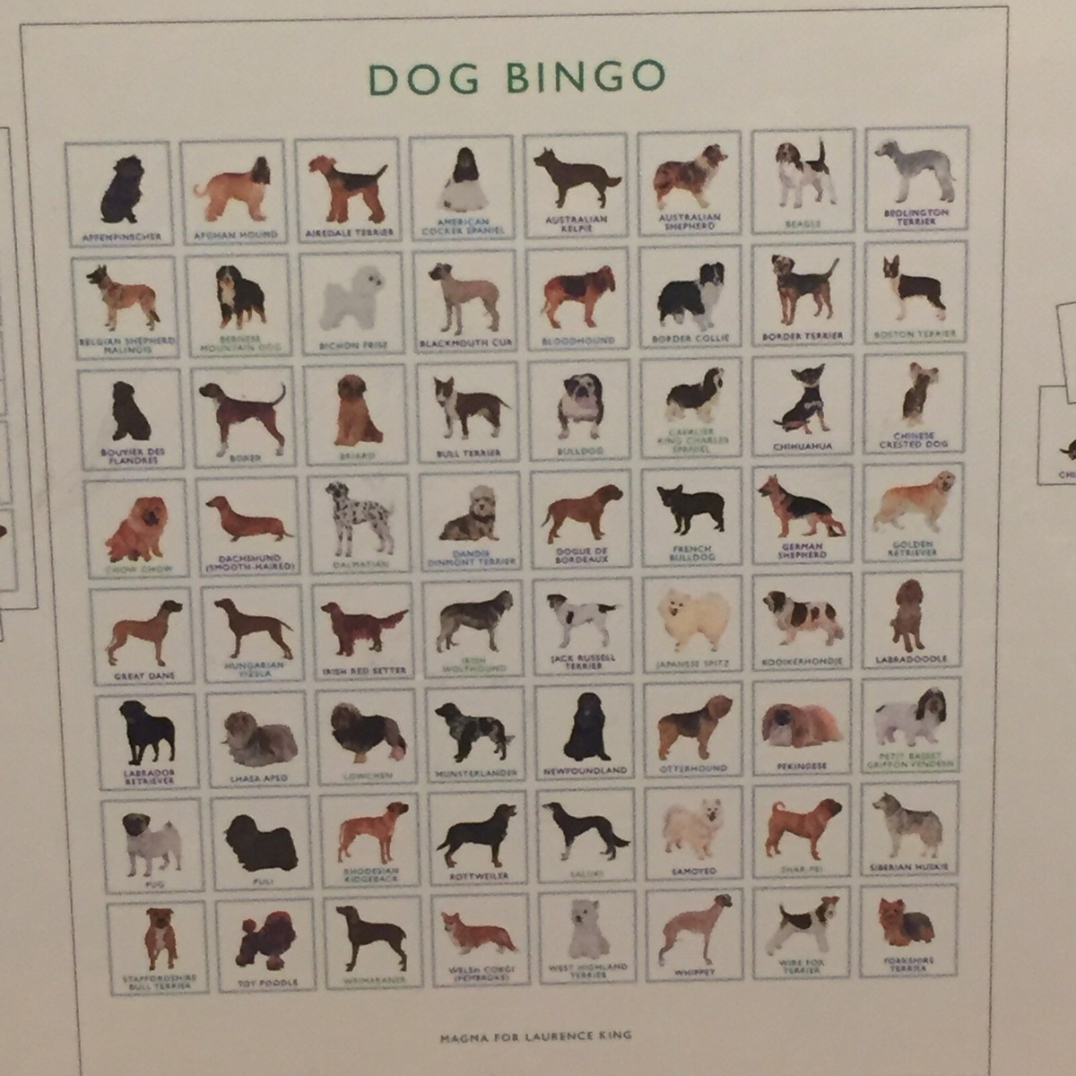 dog bingo game🤒 discover the thrill of al faisaly games and dive into ...