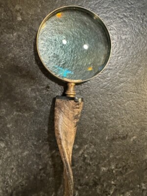 Antique Magnifying Glass Brass Magnifier Animal Horn Handle Reading ...