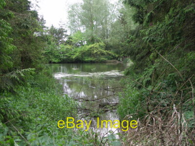 Photo 6x4 Hidden Lake. Old This small lake is surrounded by trees and ...