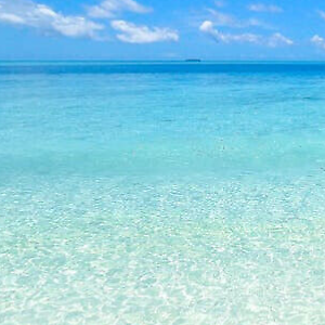 Sea Foundry | eBay Stores