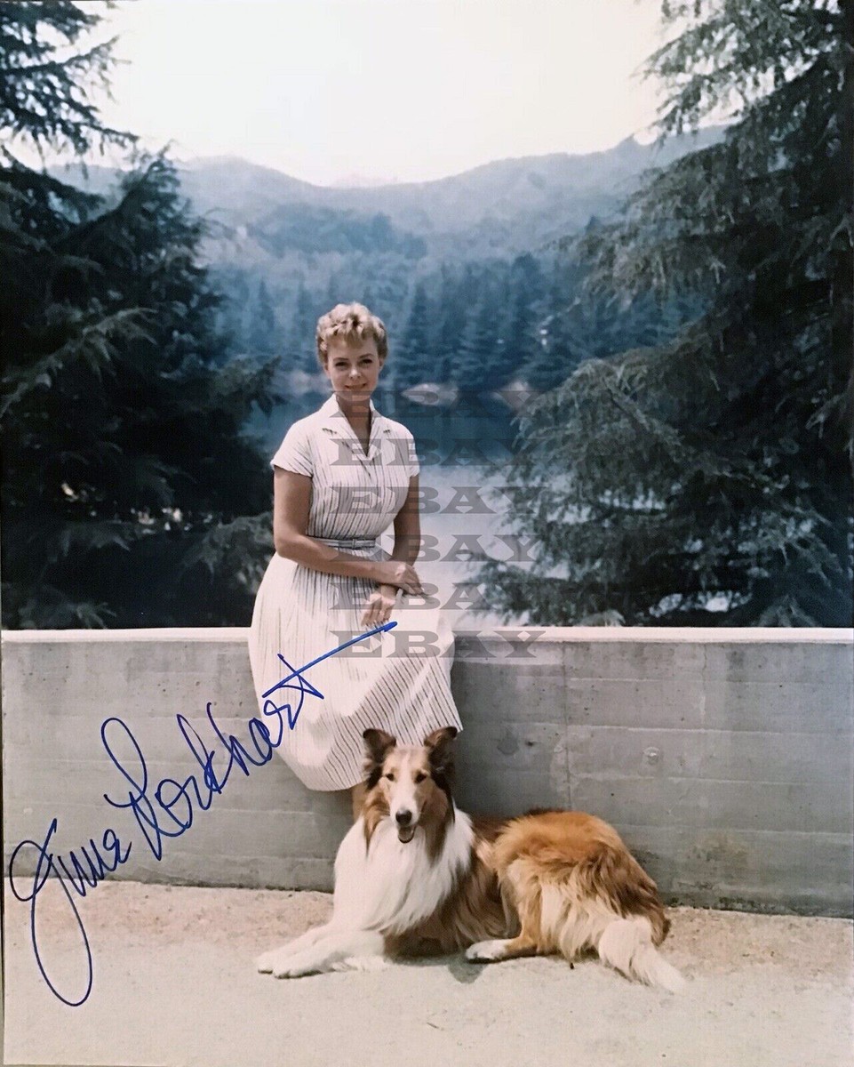 June Lockhart Lassie Happy 99th Birthday June Lockhart, She Used To