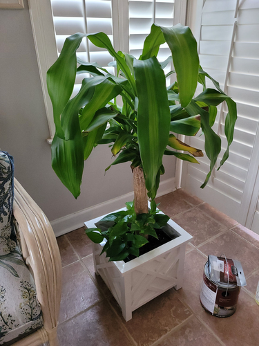 Miles Kimball Chippendale Planter for Potted Plants White for sale ...