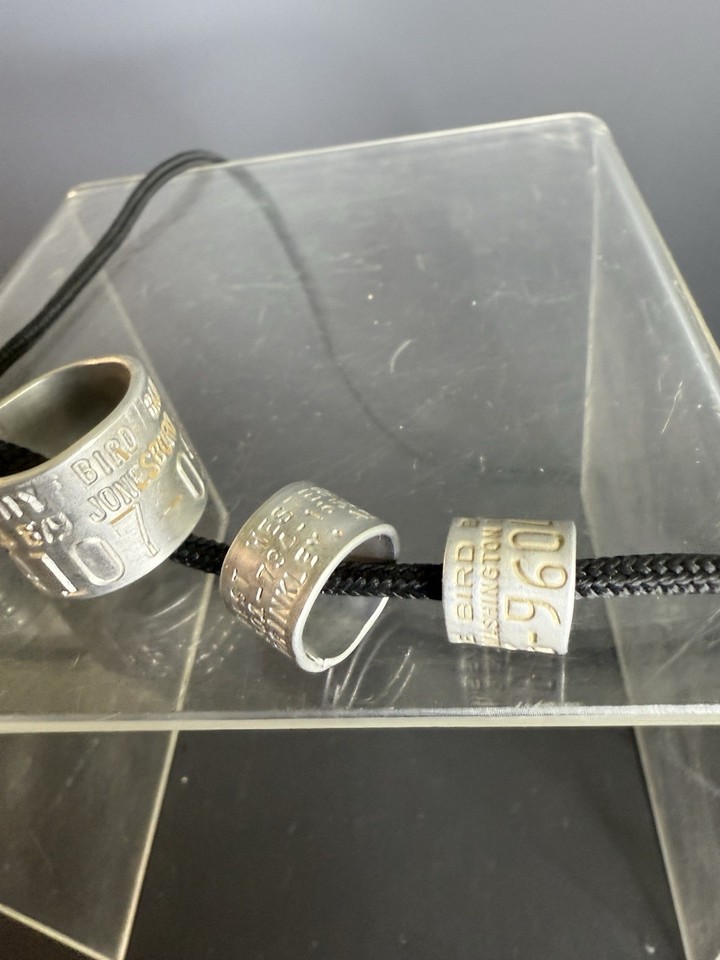 Lot Of 4 Vintage Bird Duck / Goose Bands BEST WESTERN FULLERS | eBay