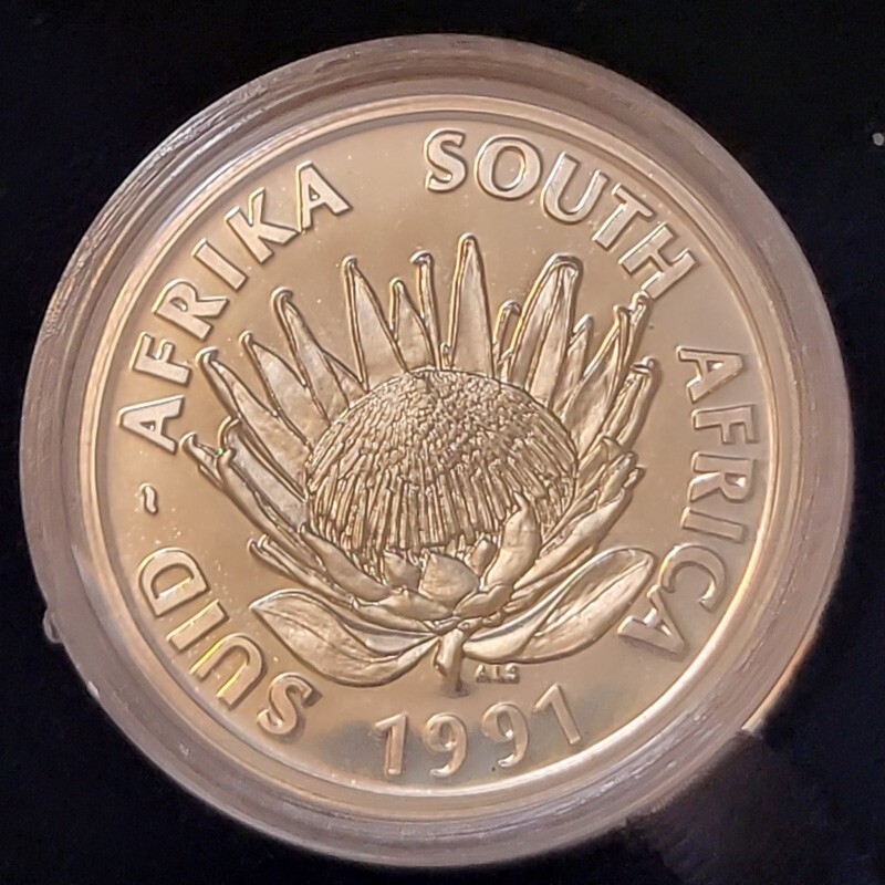 NURSING 1991 South Africa Silver 1 Rand Proof coin PROTEA R1 NURSES ...
