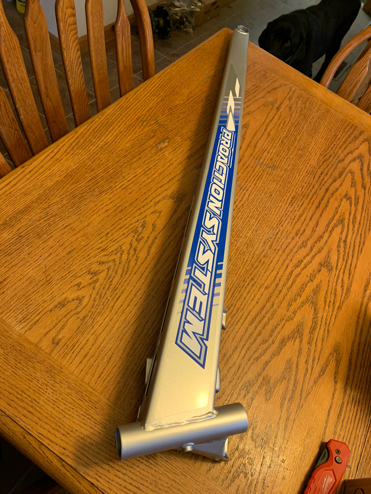 Yamaha Snowmobile SRX SX XTC Trailing Arms Left Right New Silver W SRX ...