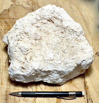 caliche - tan hardpan caliche from the Mojave Desert - display specimen ...