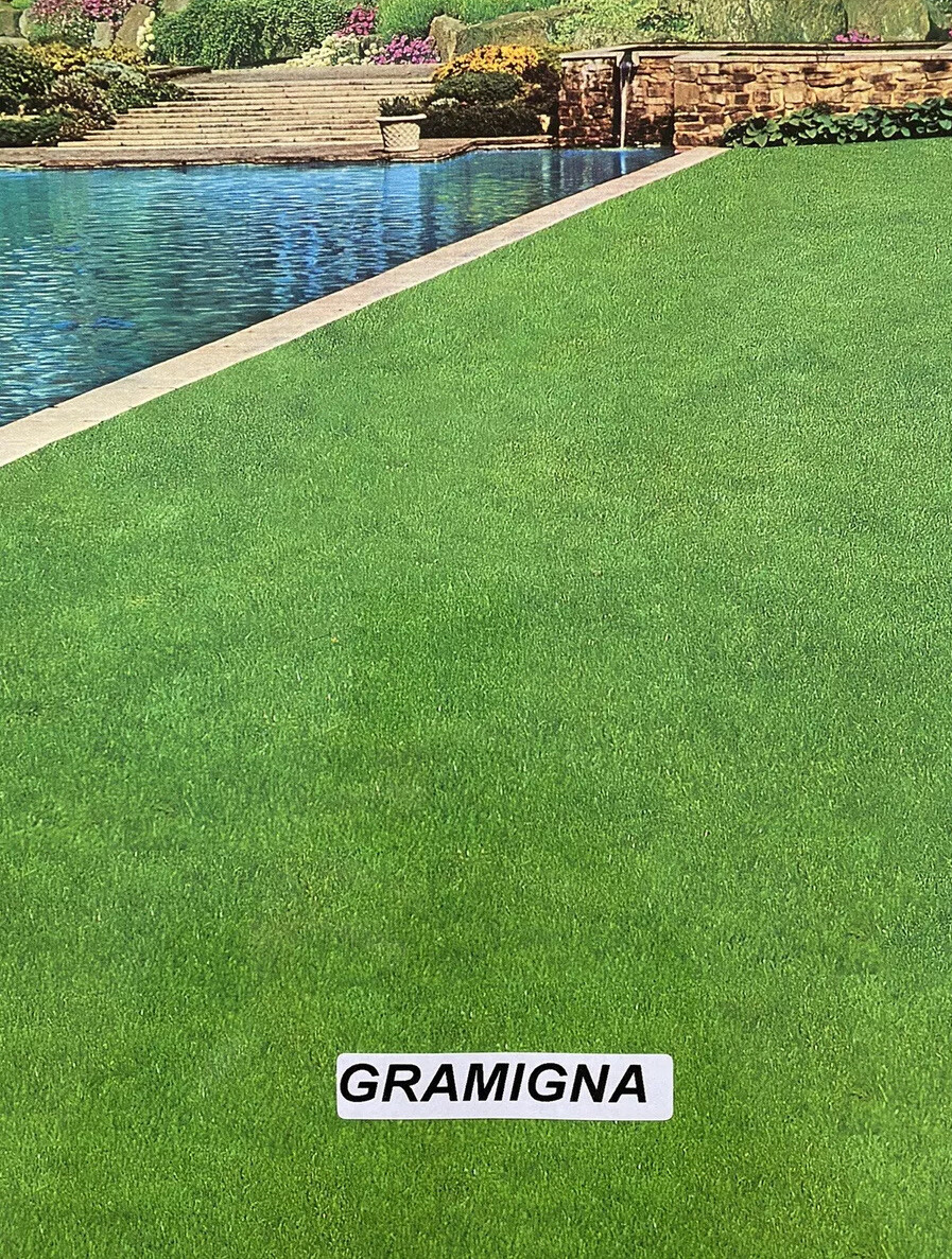 Erba Sintetica Campania usato in Italia | vedi tutte i 39 prezzi!