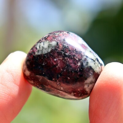 Polished Eudialyte (EUD32) | eBay