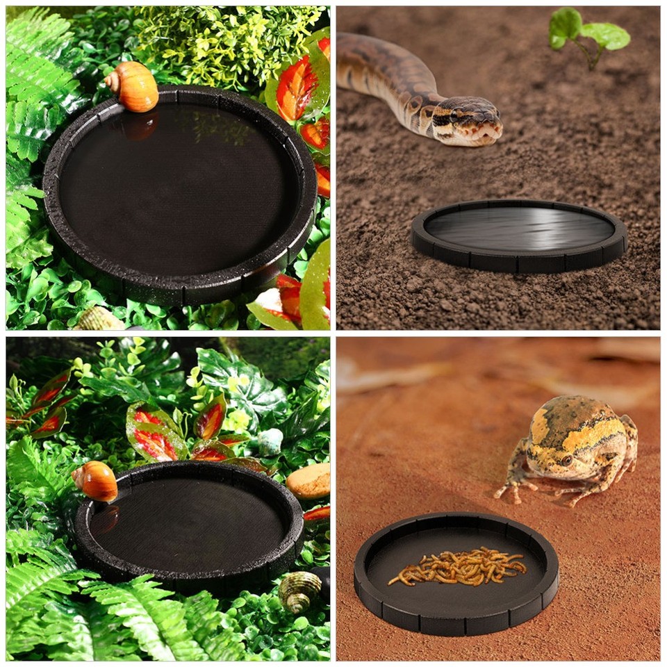 Lizard Food Pot Bearded Dragon Feeding Bowl Reptile Plates Water Tray ...