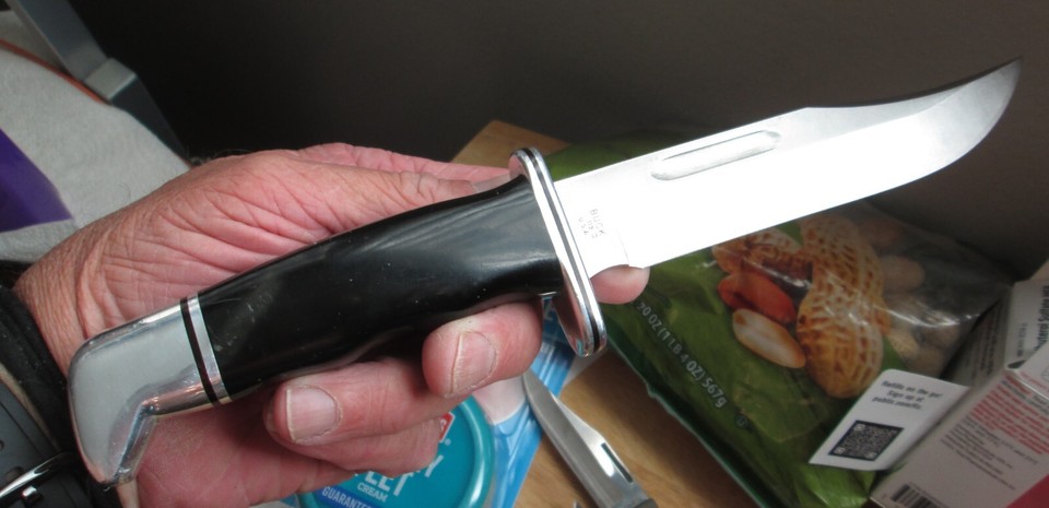 BUCK KNIVES USA 119 Fixed Blade Knife & Sheath | eBay