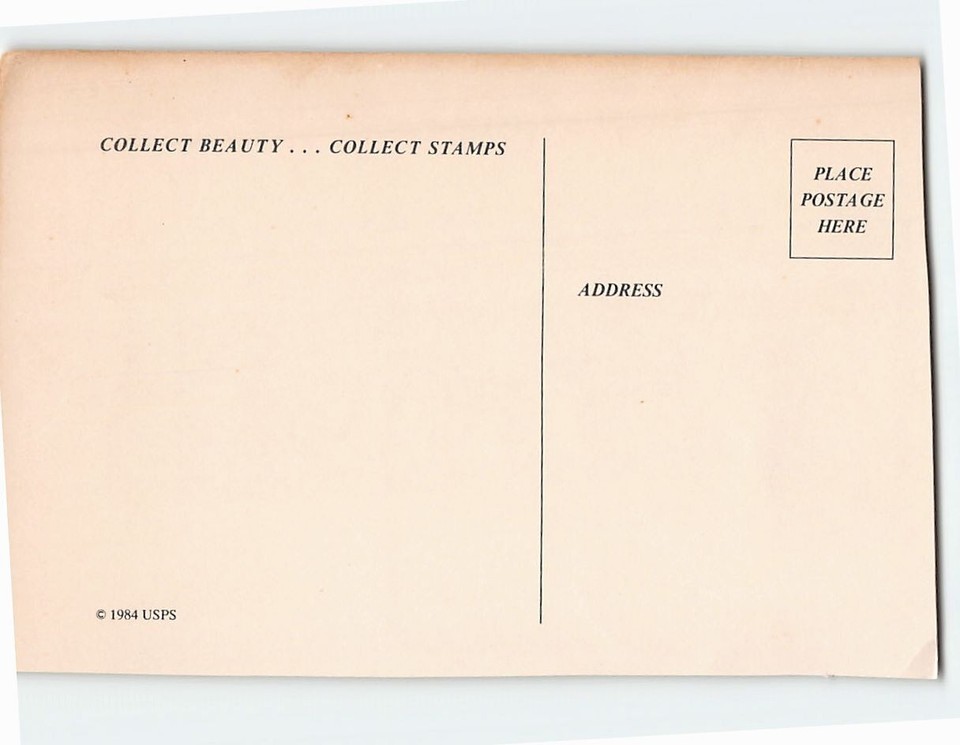 Postcard Lily USA 18 Cents Collect Beauty . . . Collect Stamps USA | eBay
