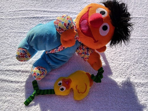 Vintage Baby Ernie with Duck Soothing Baby Pull and Play Plush | eBay