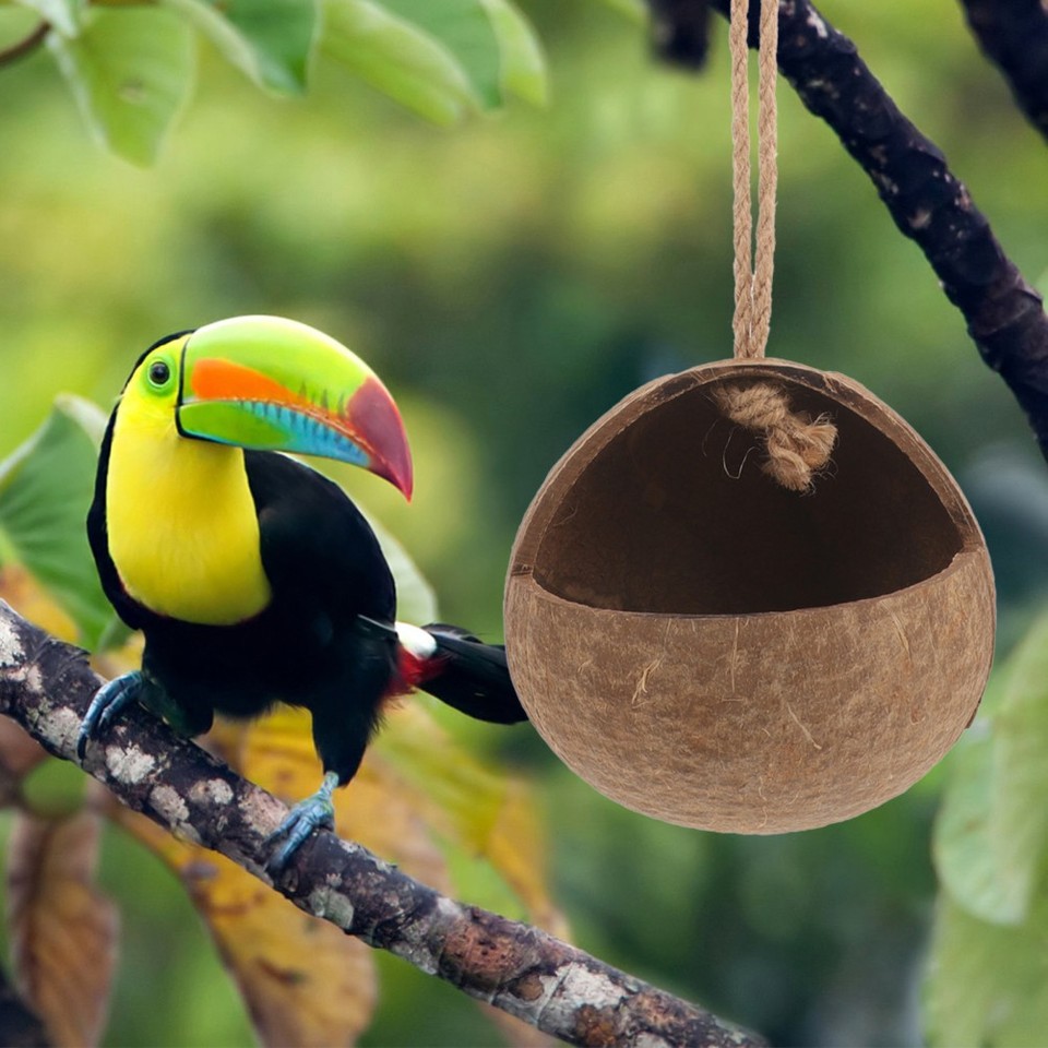 Coconuts Shell Nest Cage Coconuts Shell Hanging Bird Nest Bird Breeding ...