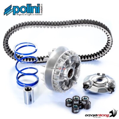 Polini Hi-speed evolution variator for Piaggio MP3 300 | eBay