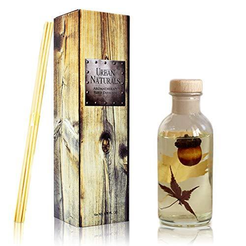 Urban Naturals Autumn Harvest Scented Oil Reed Diffuser | Fall Home ...