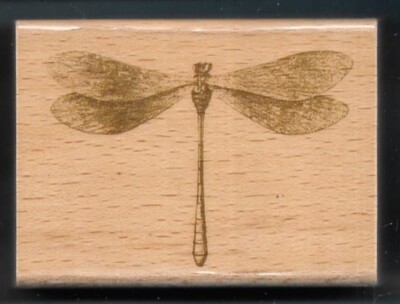 DRAGONFLY FLYING INSECT Entomology NEW Anna Griffin wood mount Rubber ...
