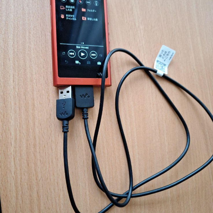 SONY Walkman NW-A55 RM Twilight Red MP3 Player Hi-Res Bluetooth USED | eBay