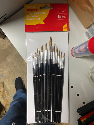 12PC FINE TIP POINTED ARTIST PAINT BRUSH SET BRUSHES ACRYLIC ...