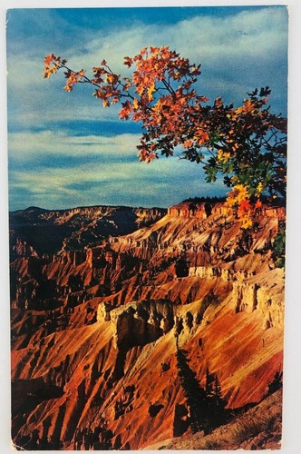Vtg Cedar Breaks National Monument Utah UT Circle of Painted Cliffs in ...