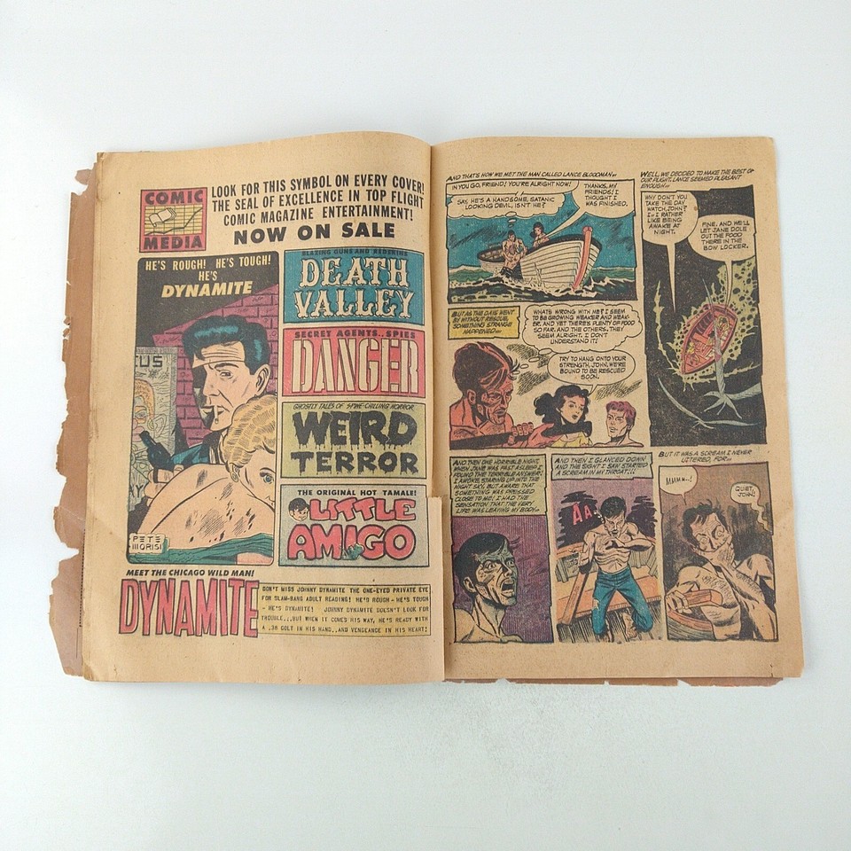 Horrific #12 Weird Tales of Terror (1954) Pre-Code Golden Age Horror ...