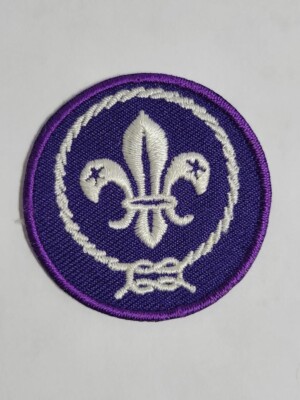 Boy Scouts World Crest Emblem | eBay