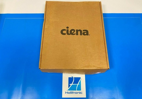 CIENA CORPORATION NTK505MBE5 ACCESS PANEL, CNVD (SONET) | eBay