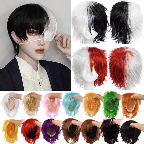 Unisex Mens Boys Anime Short Wig Cosplay Party Straight Hair Costume ...