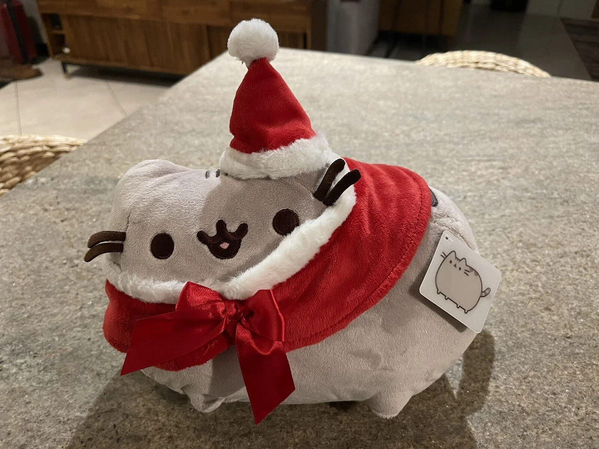 Pusheen Santa