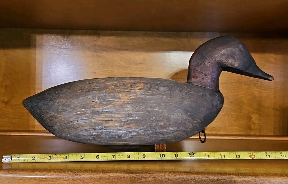 LARGE OLD VINTAGE CANVASBACK DUCK DECOY, Solid Wood, Retired Working ...