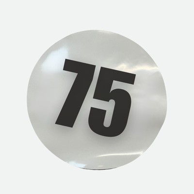 Pair of 12" Magnetic Race Car Number 75 Circular Magnet | eBay