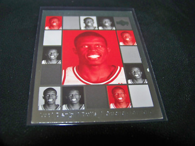 BULLS LUOL DENG 2004-05 UPPER DECK ROOKIE SCRAPBOOK #RS30 ROOKIE CARD ...