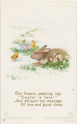 Postcard Brer Rabbit Chicks Easter Eggs Spring Embossed Unposted James ...