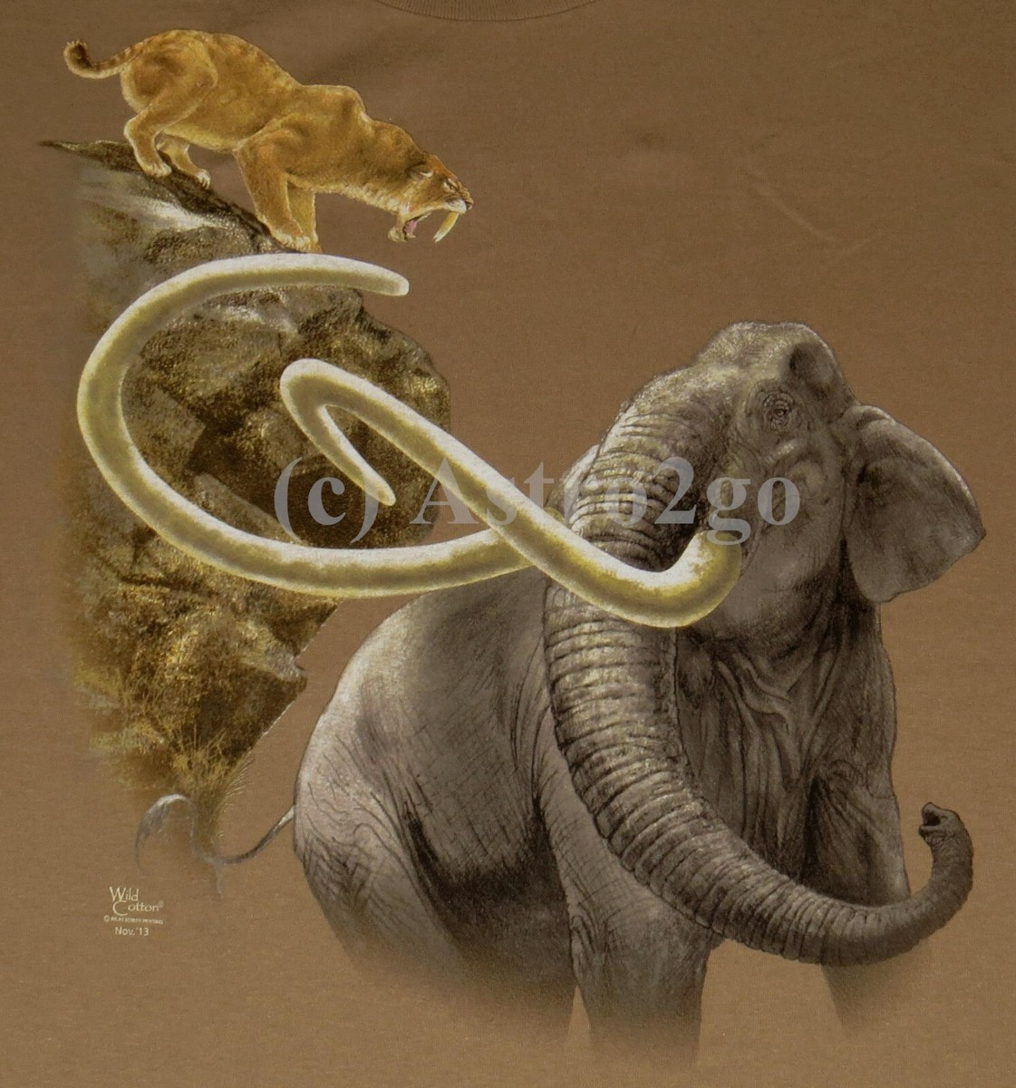 Pleistocene Ice Age
