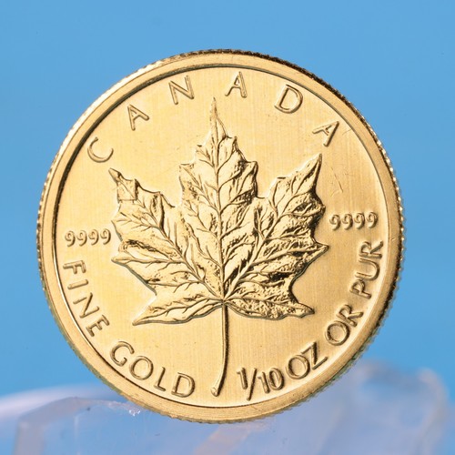 Kanada 5 Dollars 2010 Maple Leaf Elizabeth II 1/10 OZ Gold vz | eBay