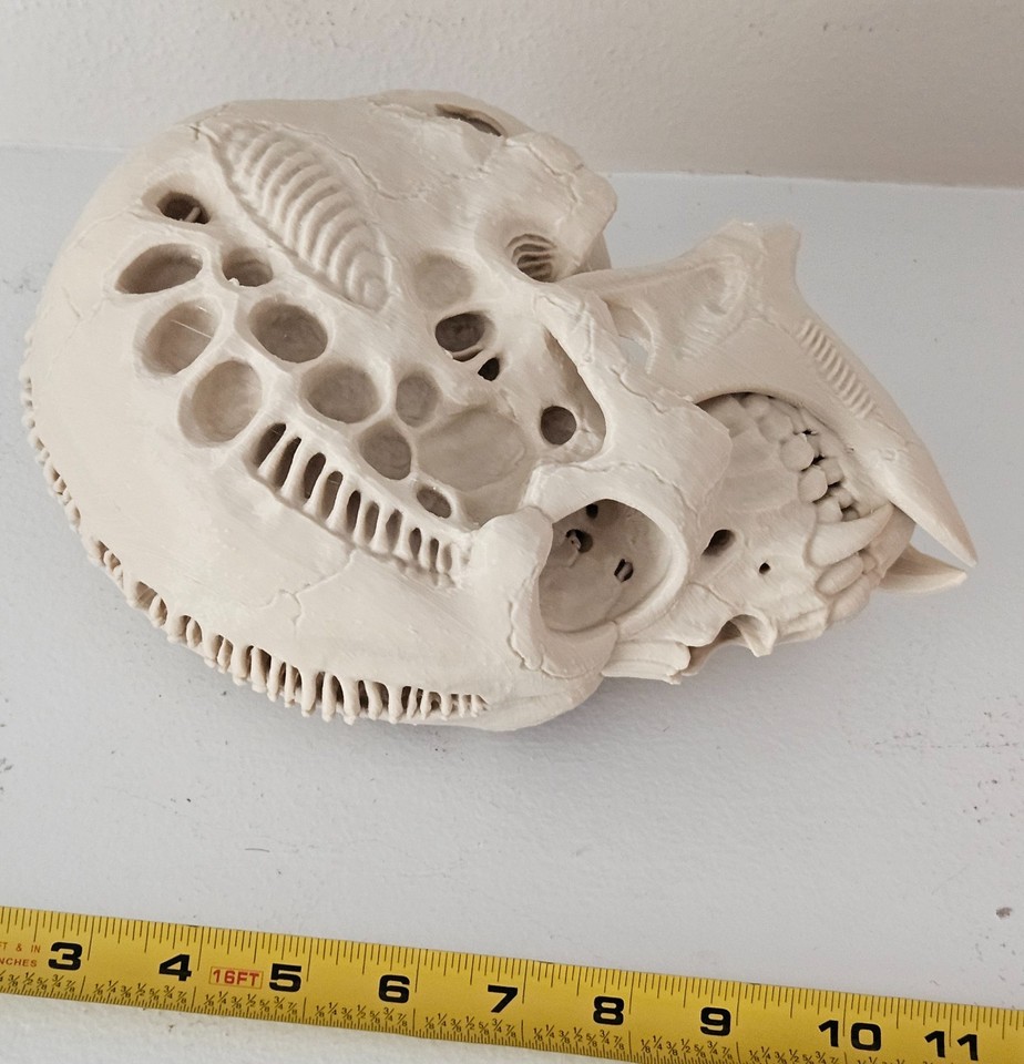 Xenomorph Alien Replica Highly Detailed Alien Skull Gamer Room Decor ...