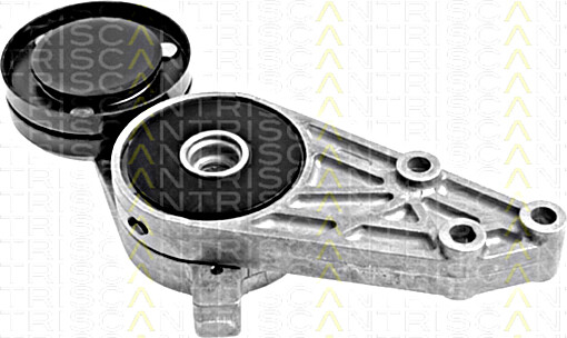 TRISCAN V-Ribbed Belt Tensioner Lever For AUDI VW SKODA A4 Avant A6 ...