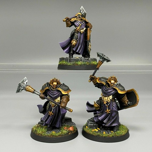 SEQUITORS STORMCAST ETERNALS SHADESPIRE WARHAMMER AGE OF SIGMAR PAINTED ...