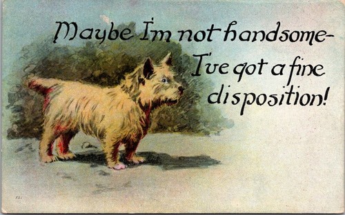 Cairn Terrier Comical Pups Not Handsome Fine Disposition Humor c1910s ...