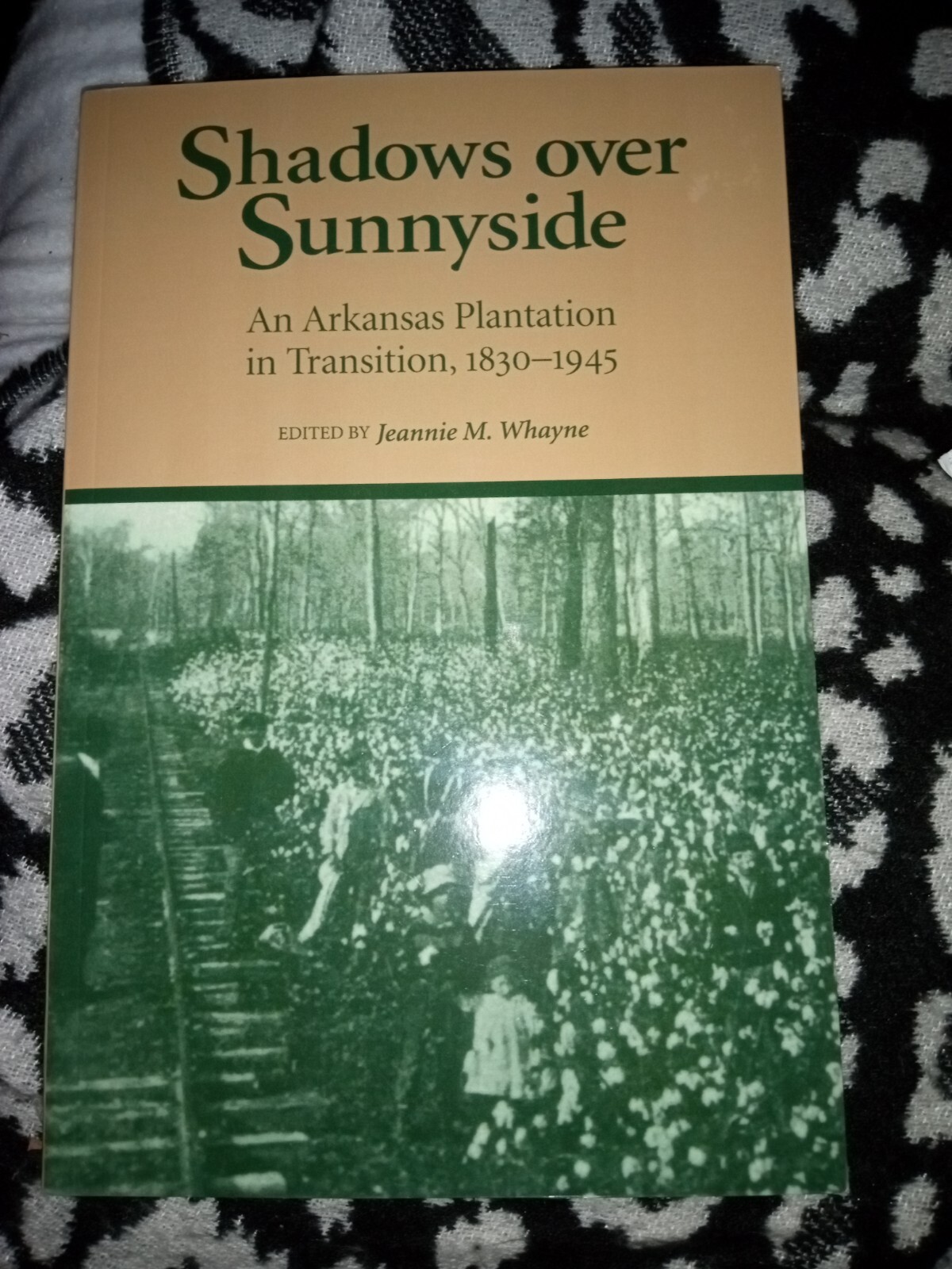 Shadows over Sunnyside : An Arkansas Plantation in Transition, 1830 ...