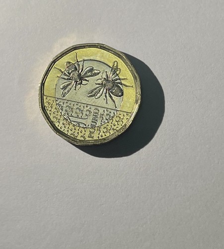 Just Released 2023 £1 One Pound Coin Bees Brilliant Uncirculated with ...