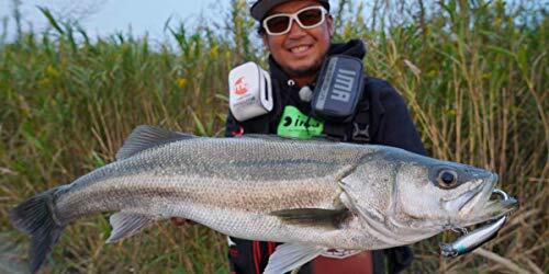 Williamsville design (ima) lure Lipper 90 (Ripper) site Bora # LP90-013 ...